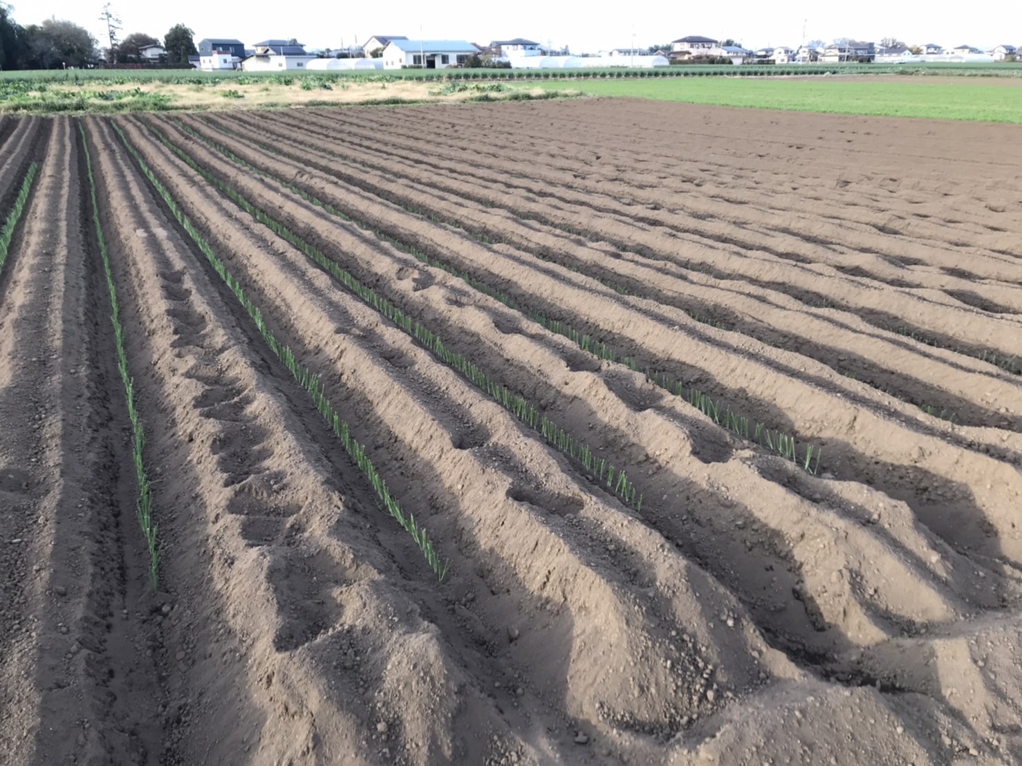 AR650をカスタマイズ！！ | 有限会社寺田商会